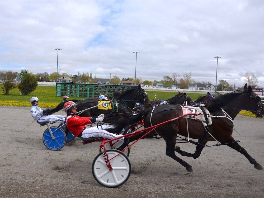 Exciting times for harness racing in Summerside | PNI Atlantic News