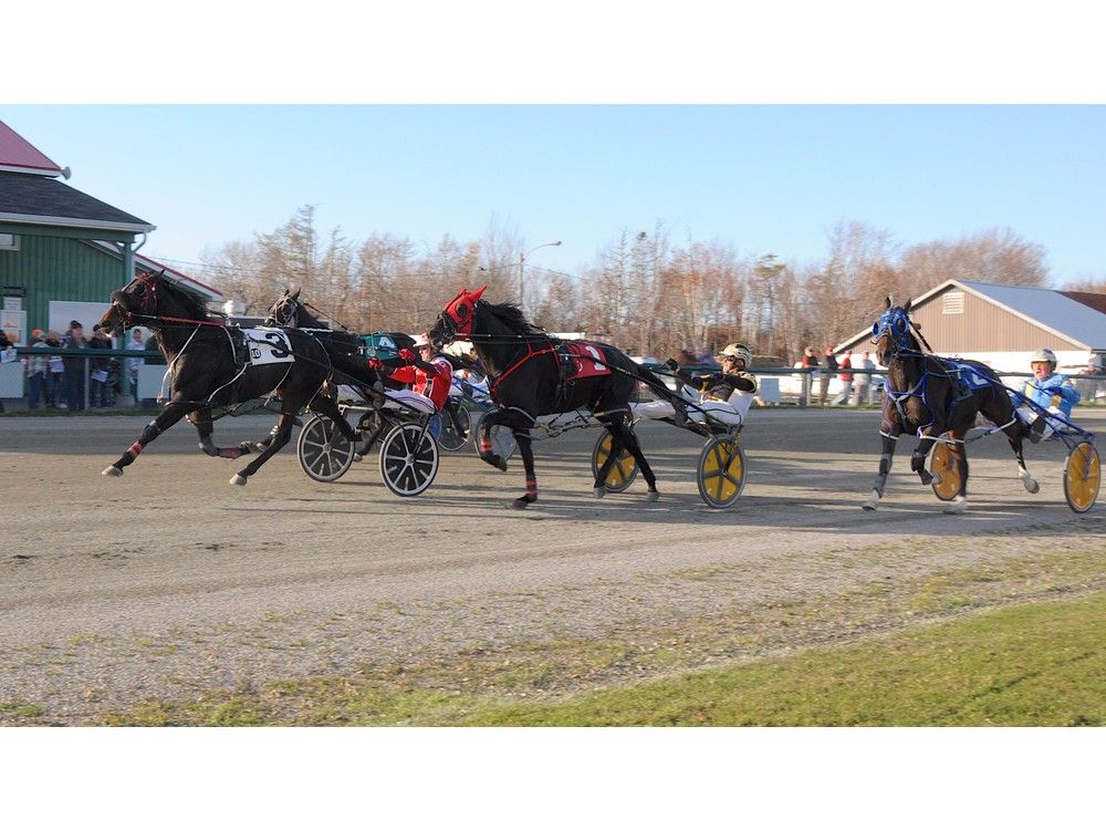 Northside Downs to kick off new harness racing season this weekend ...