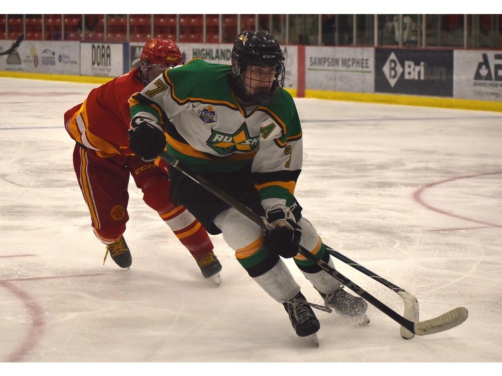 Local hockey players aim to take next step with QMJHL Entry Draft | PNI ...