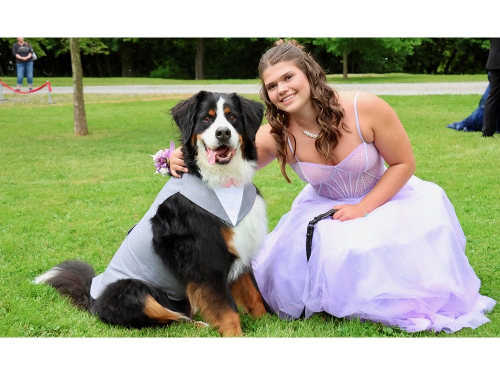 IN PHOTOS: Avon View’s prom goers dazzle onlookers | PNI Atlantic News