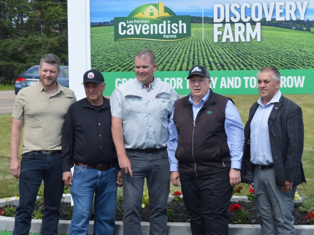 Cavendish Farms launches potato research farm in PEI | PNI Atlantic News