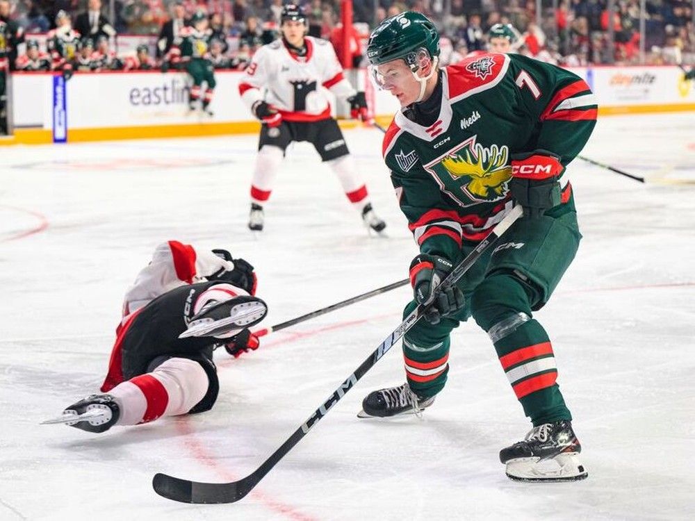 It's likely to be an understated NHL draft for Mooseheads and Eagles ...