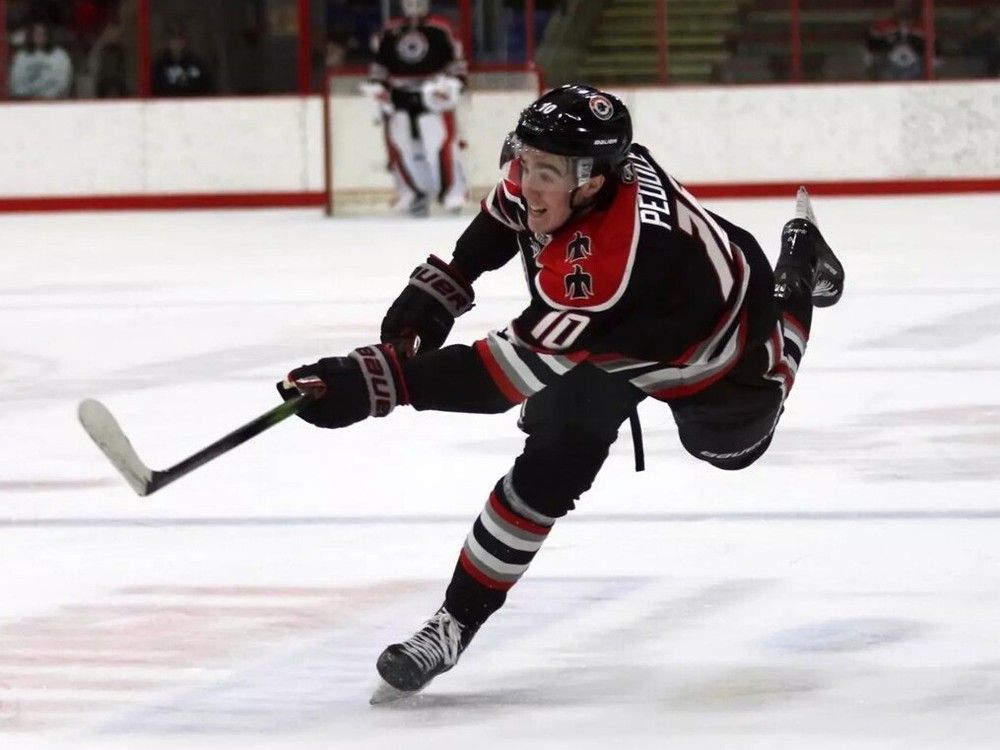 A pair of defencemen are Nova Scotia's top hopefuls for 2025 NHL draft ...