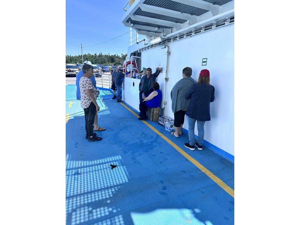 MV Astron remains on Fogo-Change Islands run, ending protest | PNI ...