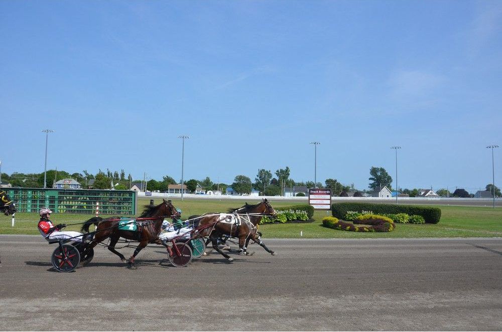 Rookies clash in P.E.I. Colt Stakes’ Gold splits | PNI Atlantic News