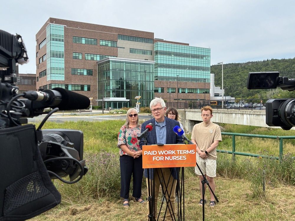 NL NDP announces four-year platform on health care and cost relief ...