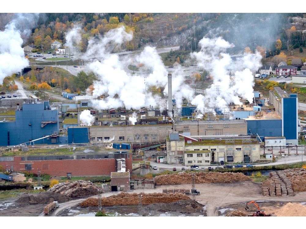 Kruger's plan for Corner Brook mill welcomed by union officials and ...