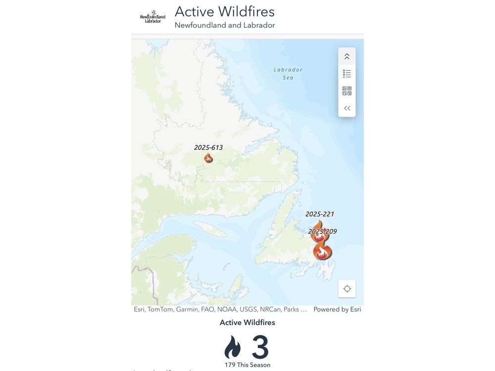 What you need to know about NL wildfire response | PNI Atlantic News