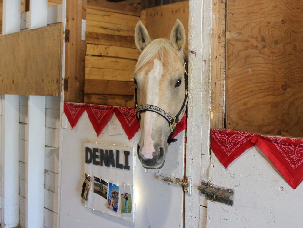 IN PHOTOS: Cape Breton Exhibition back in the saddle for 109th edition ...