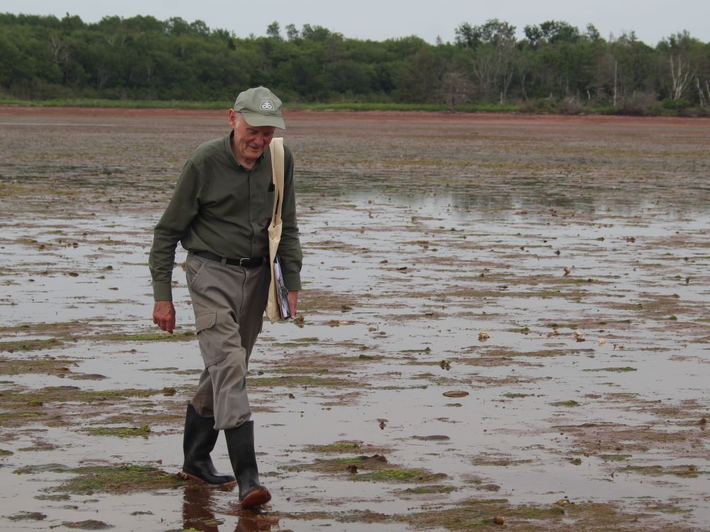 How Canada Wins: A slice of wilderness hidden in plain sight | PNI ...