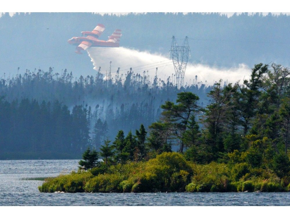 Can NL fill its chief water bomber pilot job before wildfire season ...