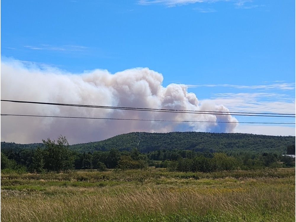 Long Lake wildfire tops 8,000 hectares | PNI Atlantic News