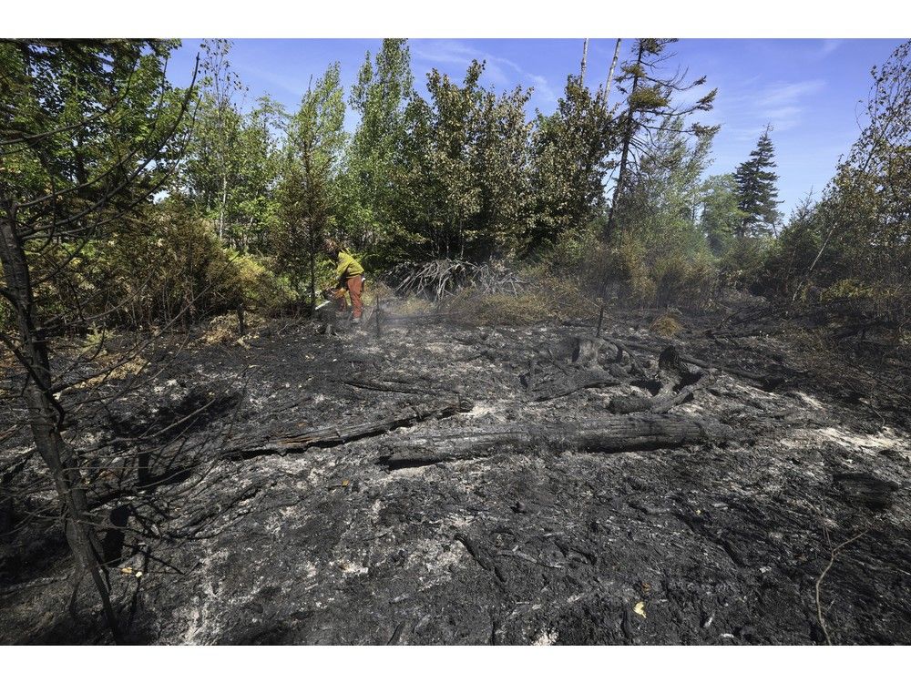 Long Lake wildfire gaining in intensity again | PNI Atlantic News