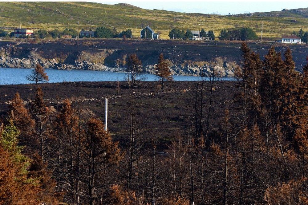 Insurance issues, burnt trees priorities for Conception Bay North | PNI ...