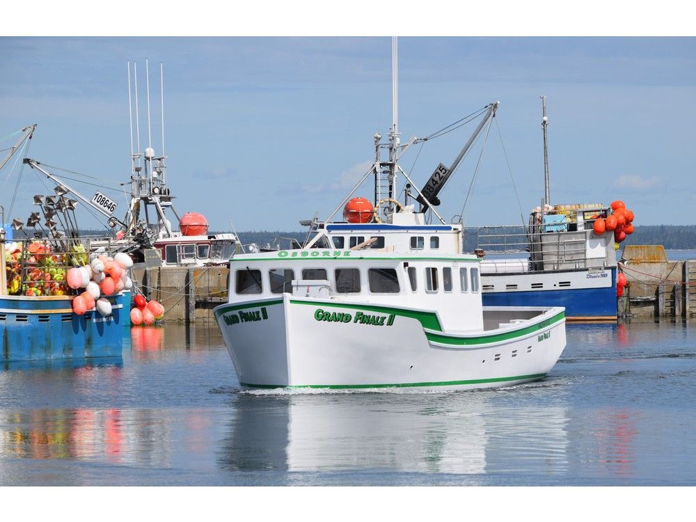 Marchand’s brand, Blue Lobster's hands, German subs for Halifax jobs ...