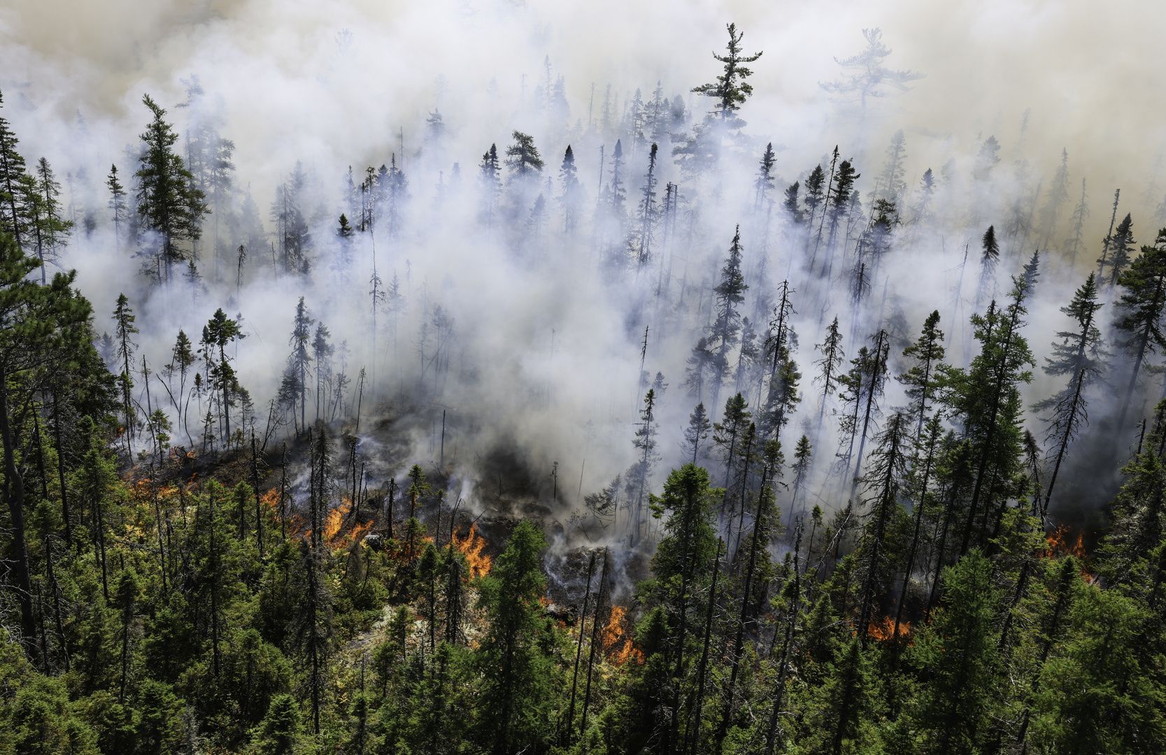 Long Lake fire doubles again, estimated at 2,000 hectares | PNI ...