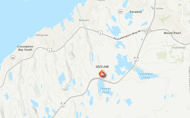 Fire break work continues to battle growing NL wildfires Aug. 11 | PNI ...