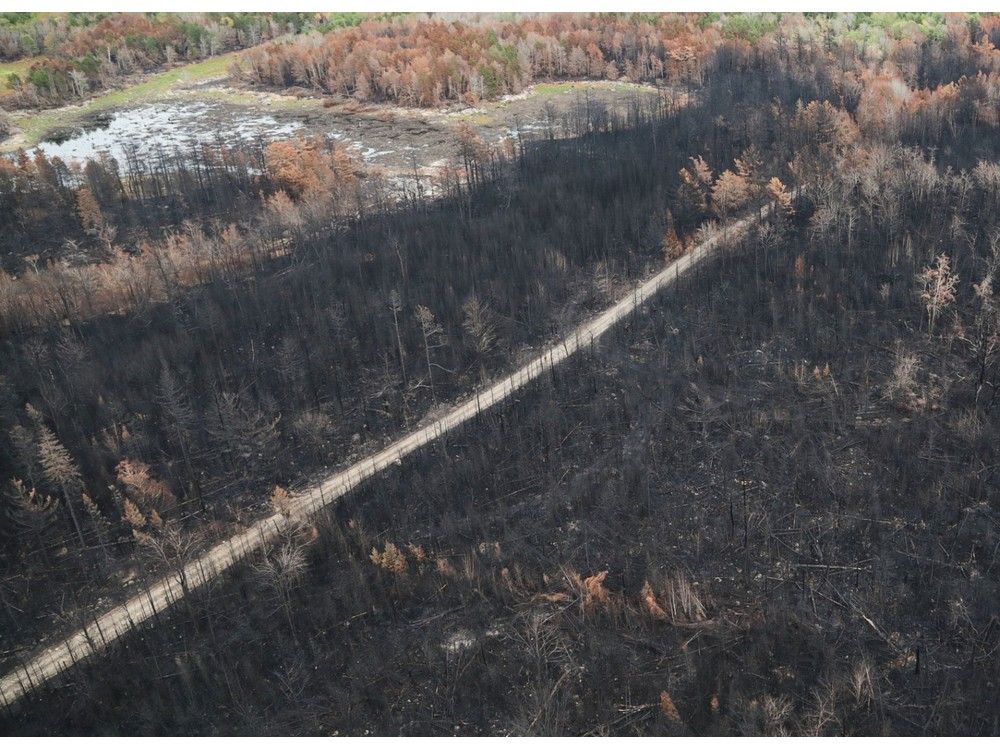 Site visit being planned for Long Lake wildfire evacuees | PNI Atlantic ...