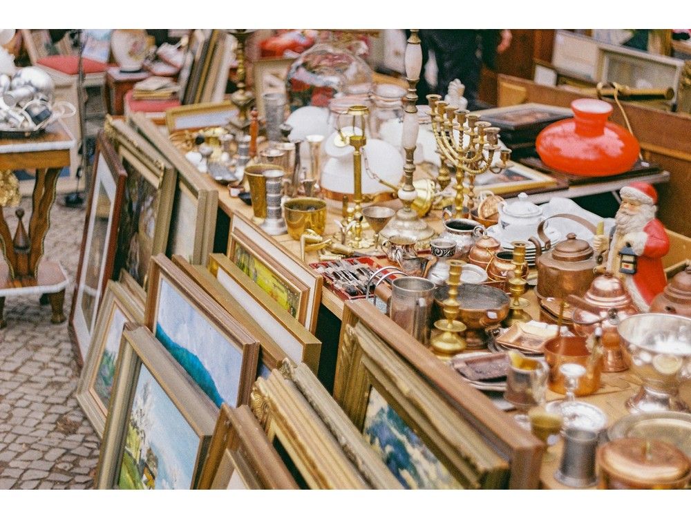 Cape Breton Regional Library hosting plant and yard sale | PNI Atlantic ...