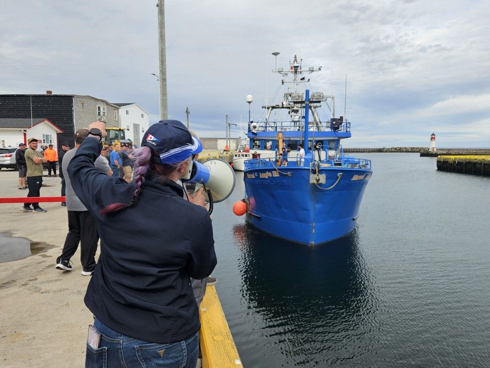 DFO more than doubling total allowable catch for NL northern cod | PNI ...