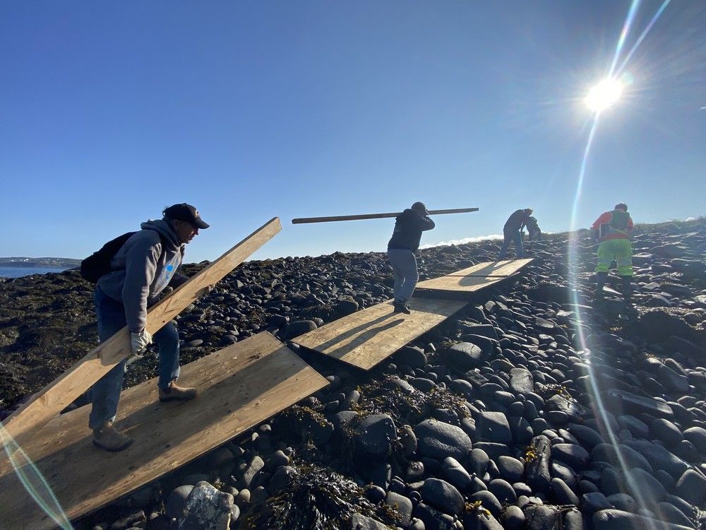 ‘We have to save the lighthouses’: Restoration begins of Peter Island ...