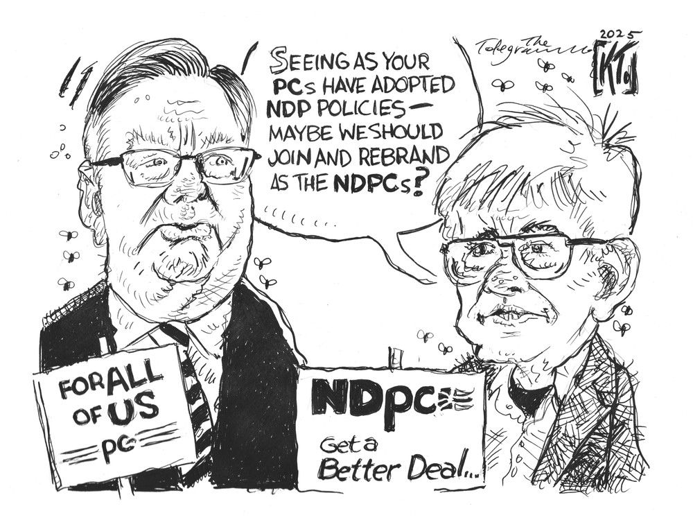 KEVIN TOBIN CARTOON: NL Tory platform looks mighty familiar | PNI ...