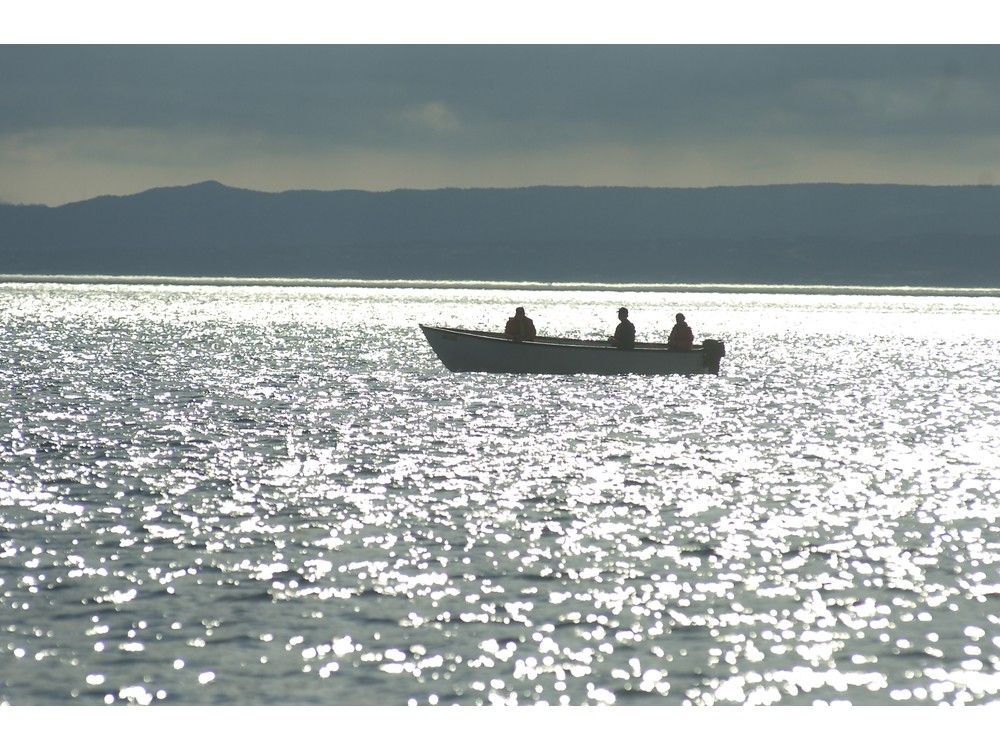 LETTER: Advice from an old codger on the food fishery | PNI Atlantic News