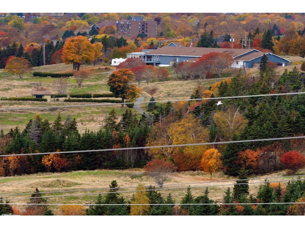 Over 1200 housing units in the works for former Bally Haly golf course ...