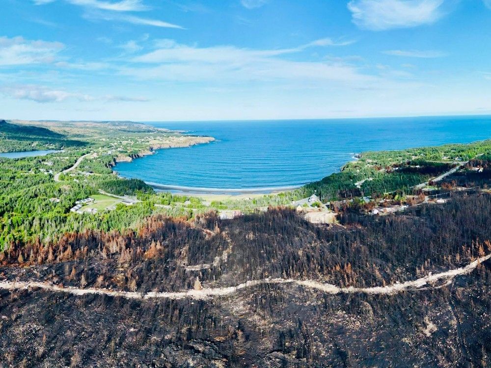 NL towns urged to apply for Wildfire Community Preparedness Day award ...