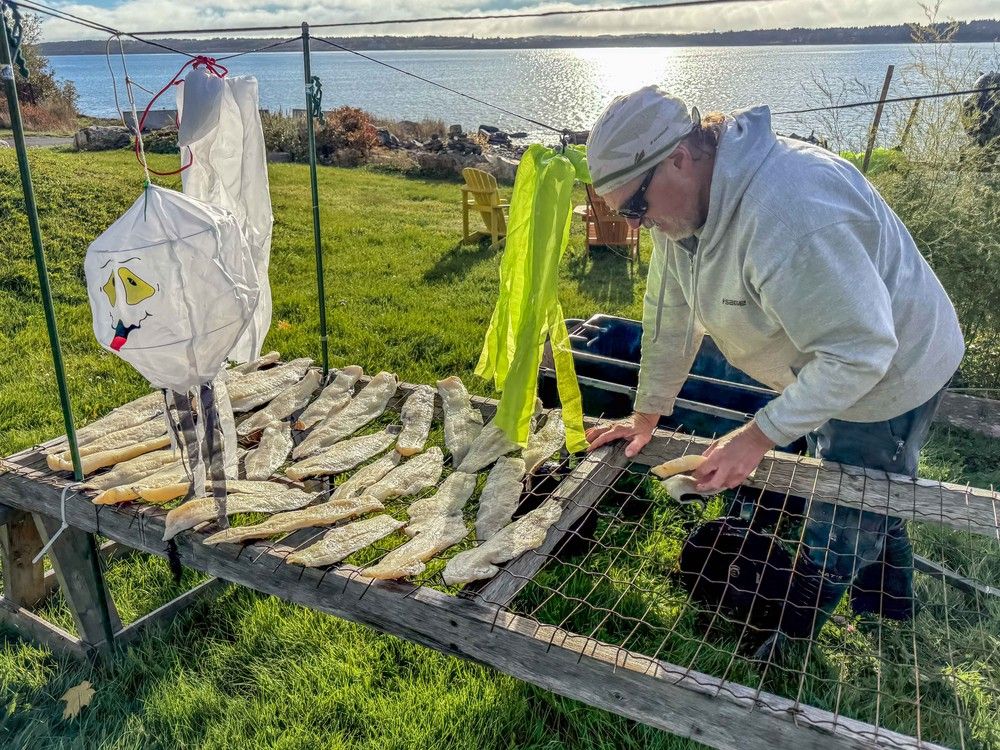 PAUL SMITH: Why October is the best month to salt your cod for winter ...