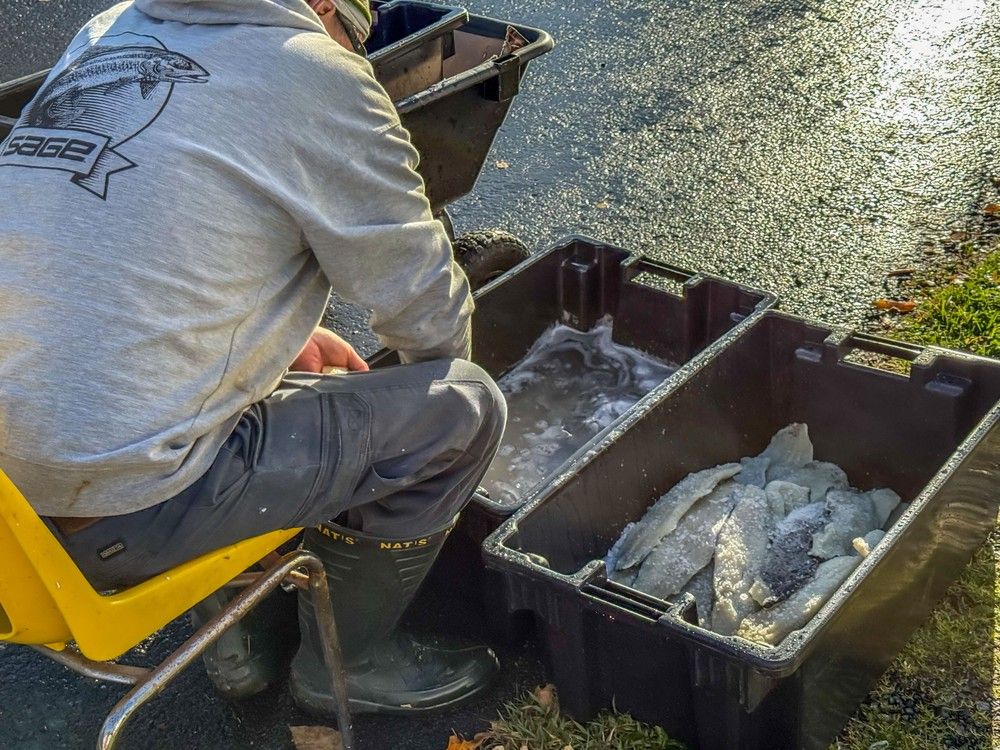 PAUL SMITH: Why October is the best month to salt your cod for winter ...