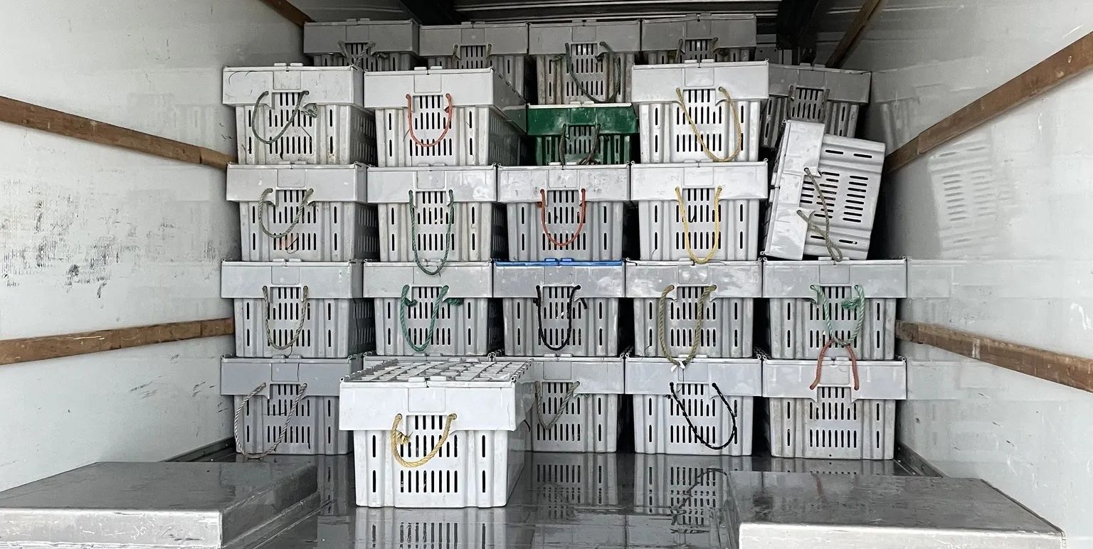 Rock Solid Builds season three has new projects and host Randy ...