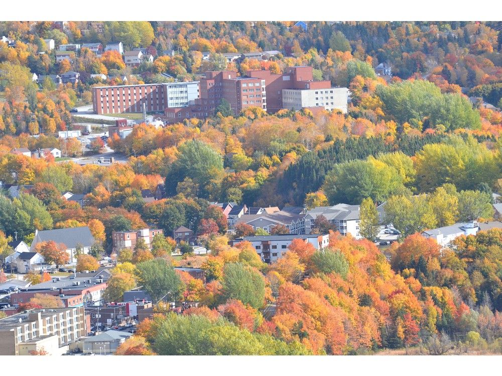 'We need more structures. We need things built,' says NL woman | PNI ...