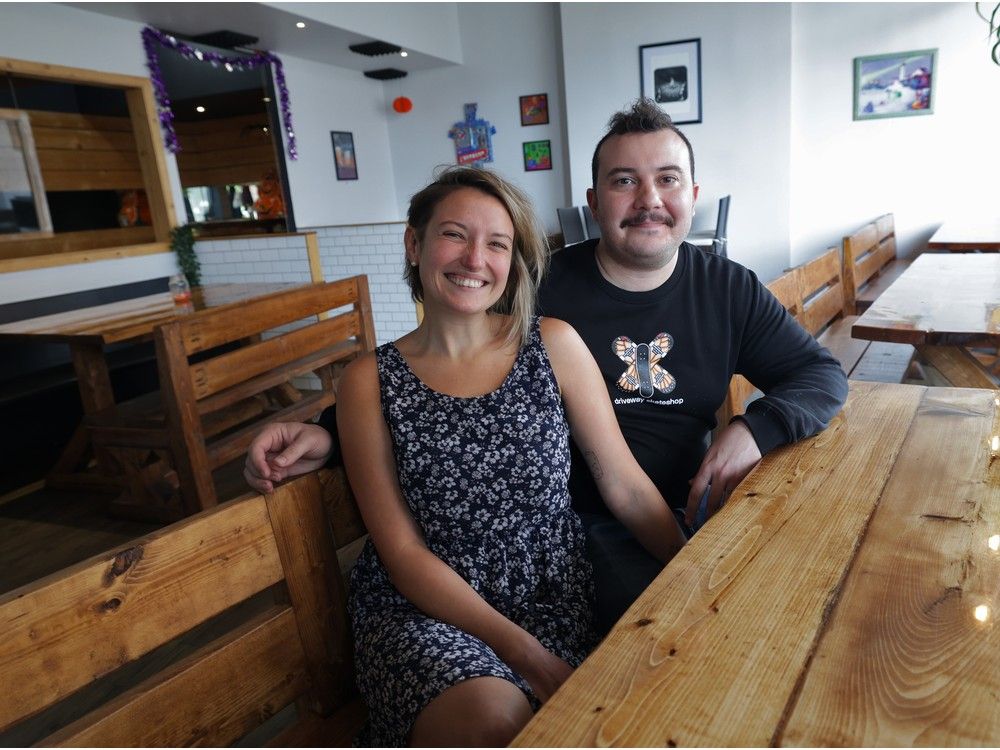 Who is running in the federal election across NL's seven ridings | PNI ...