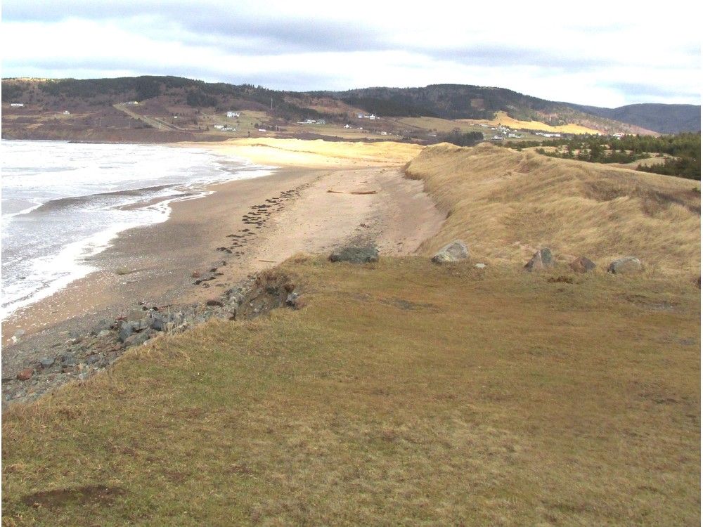A closer look at the potential for golf in Mabou | PNI Atlantic News