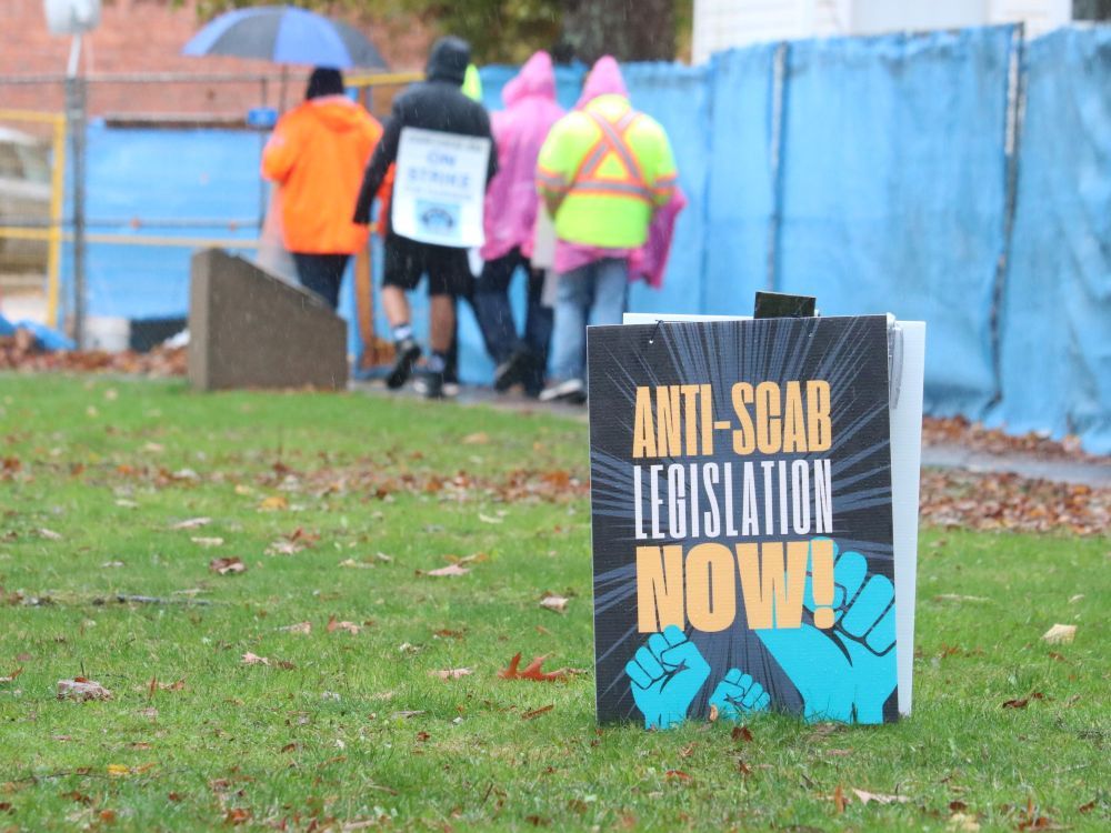 Greens ask for anti-scab laws in PEI | PNI Atlantic News