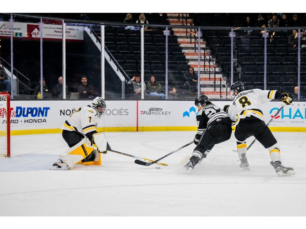 Litalien’s power play goal leads Cape Breton to win over Gatineau | PNI ...