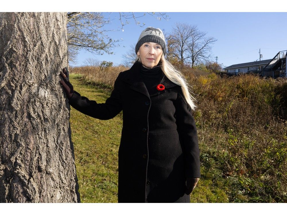 Eastern Passage housing developments a mistake in more ways than one ...