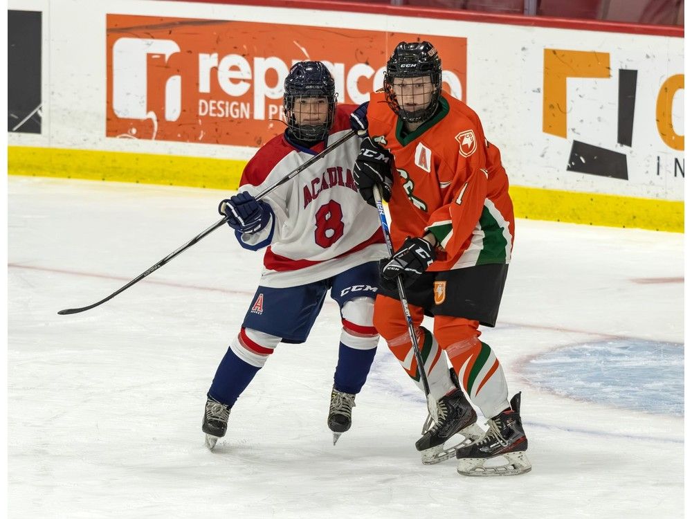 C.B. Capers lose twice Acadia Axewomen in two-game weekend series | PNI ...