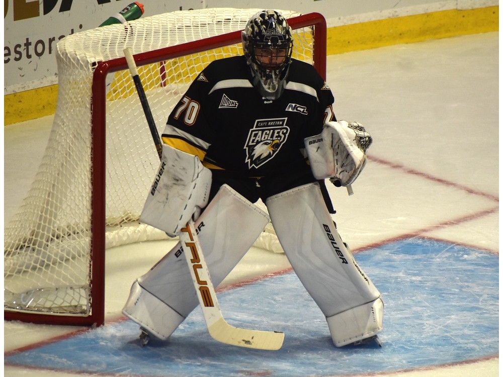 Eagles' Félix Hamel earned right to play in QMJHL as an overage player ...