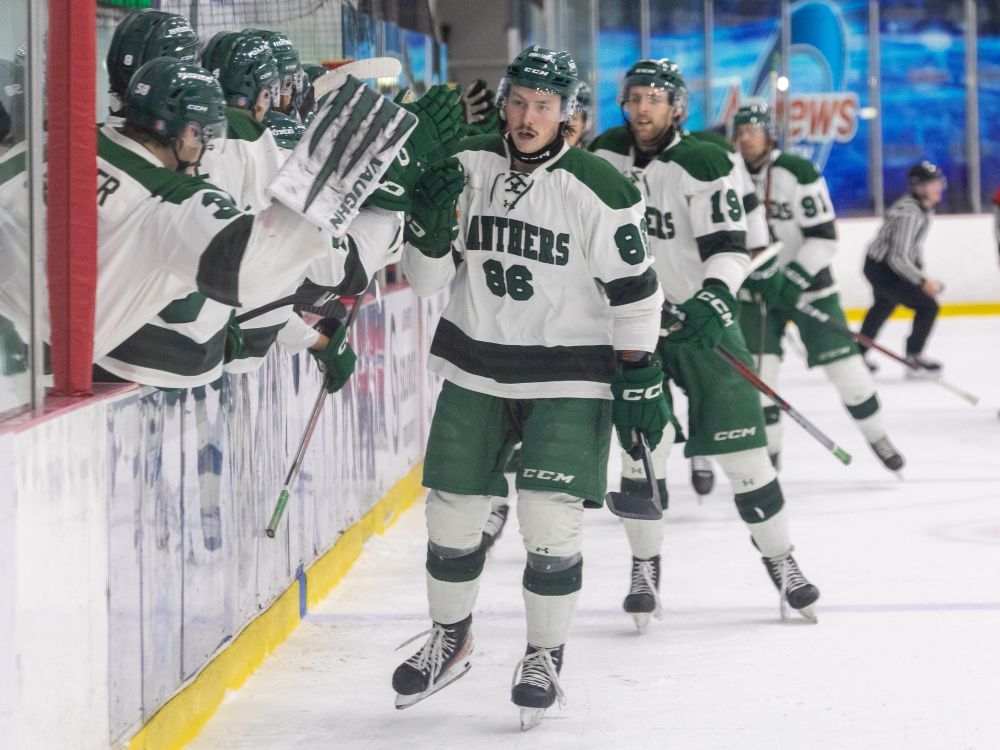 UPEI defeats UNB to move closer to second place in AUS hockey | PNI ...