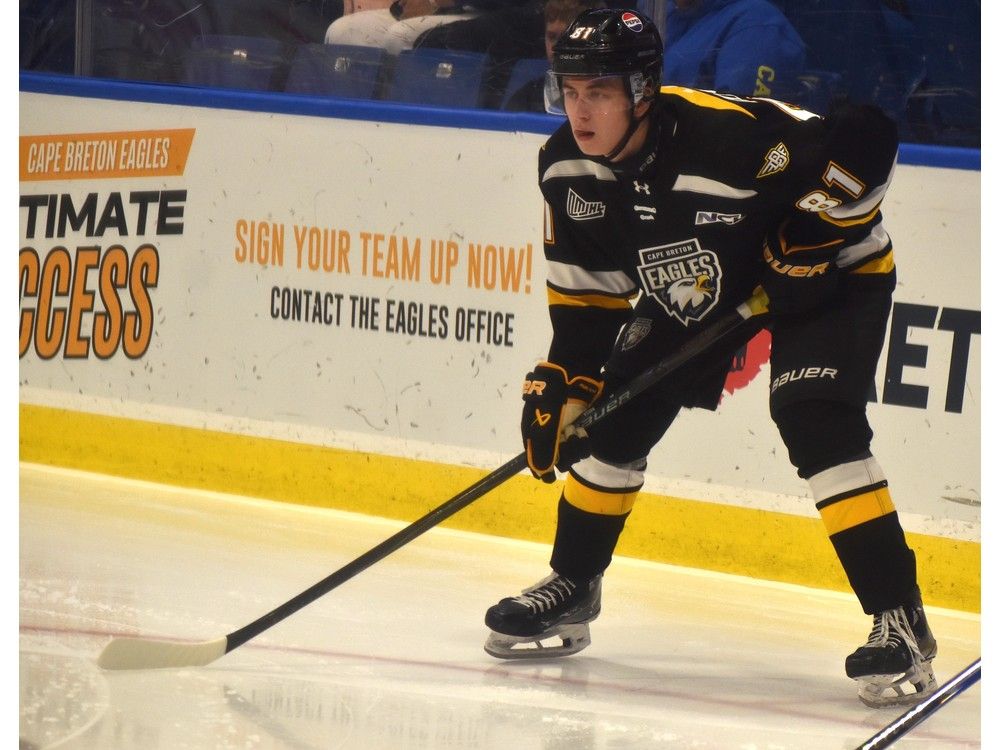QMJHL: Cape Breton Eagles release forward and defenceman | PNI Atlantic ...