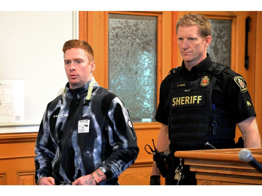 St. John's man pleads guilty to killing his nan in 'combat seizure ...