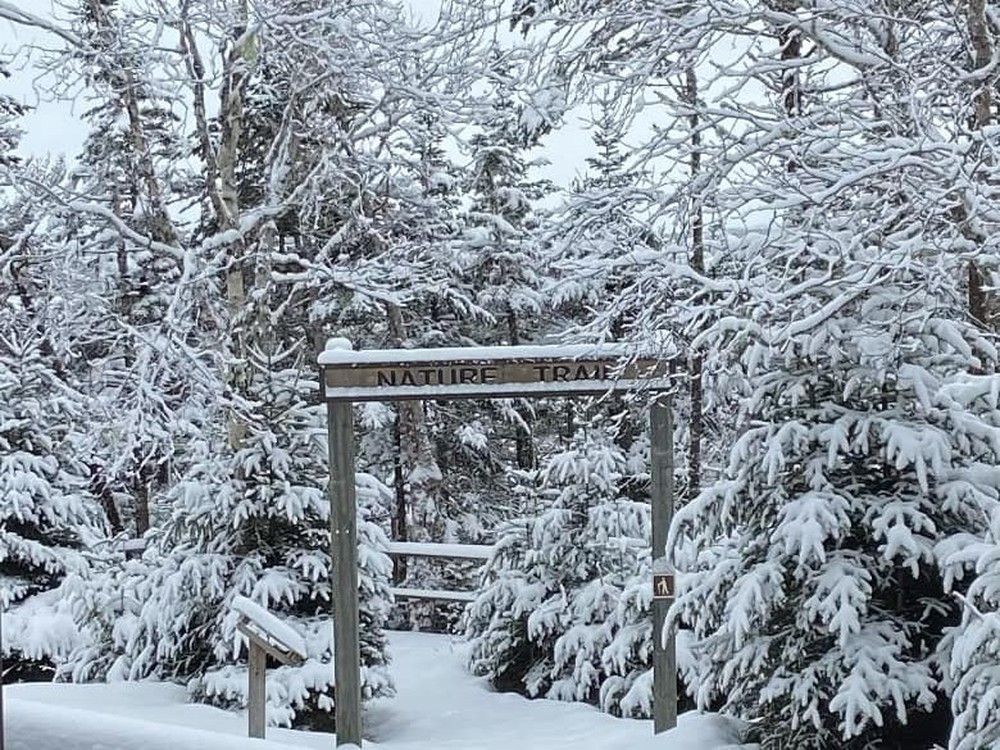 Here’s how the Salmonier Nature Park and its residents spend winter ...