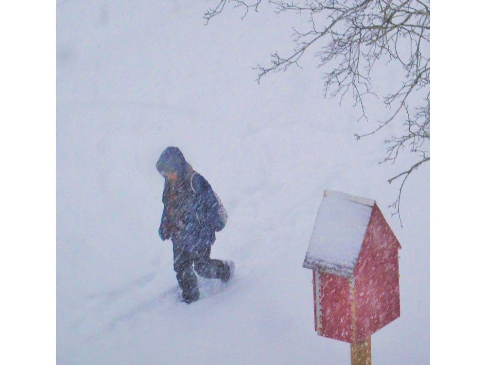 Snow squall warning for Cape Breton issued by Environment Canada | PNI ...