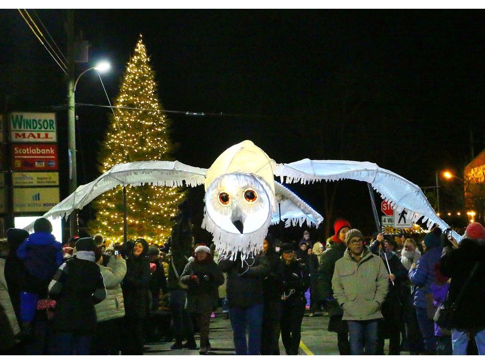 IN PHOTOS: Woodland creatures light the way to a bright holiday | PNI ...