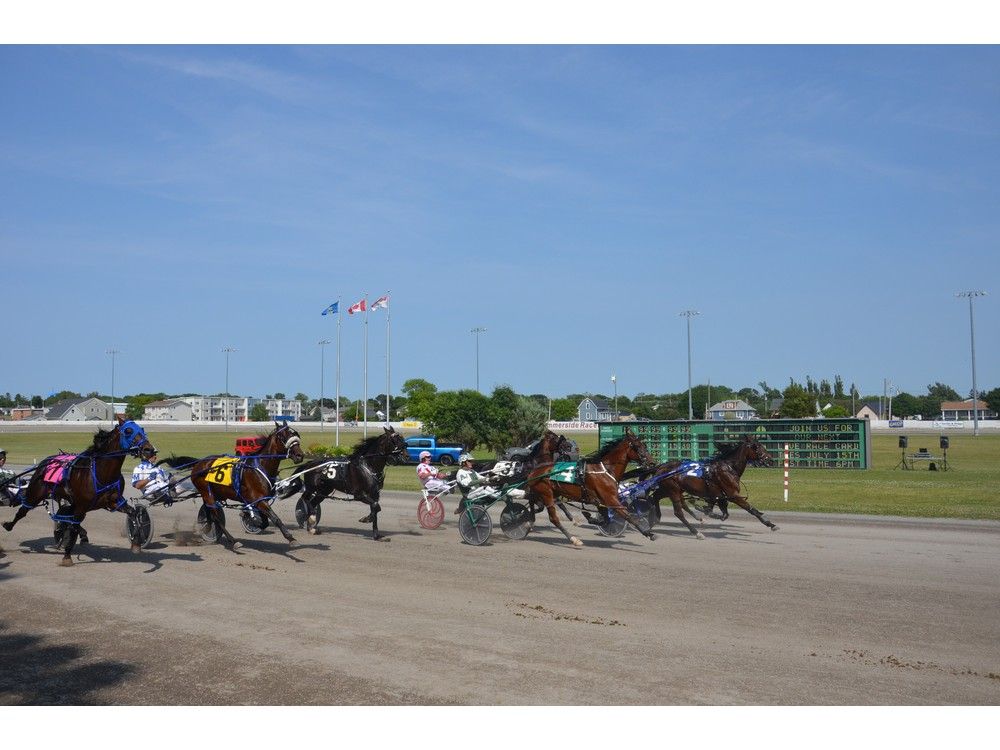P.E.I. harness racing industry caught off-guard by rule change from ...
