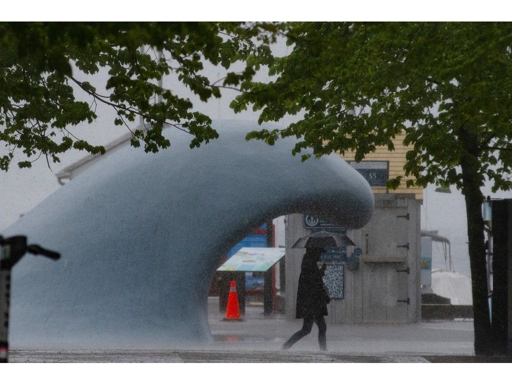 First wintery storm to bring snow, rain, winds to Nova Scotia | PNI ...