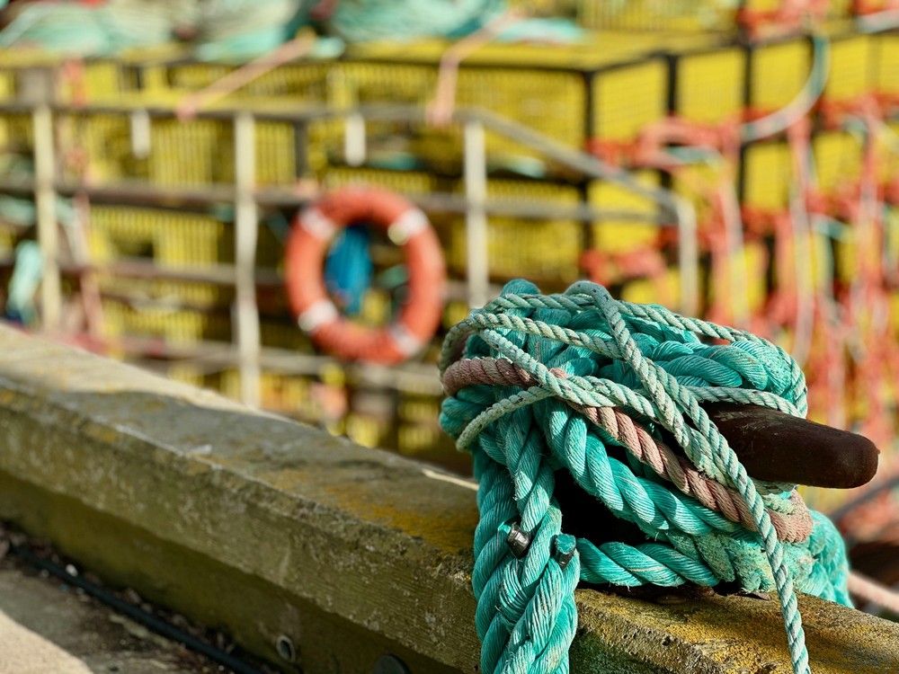 'Guilty as charged': Adam Drake convicted of murdering Pat Stay | PNI ...