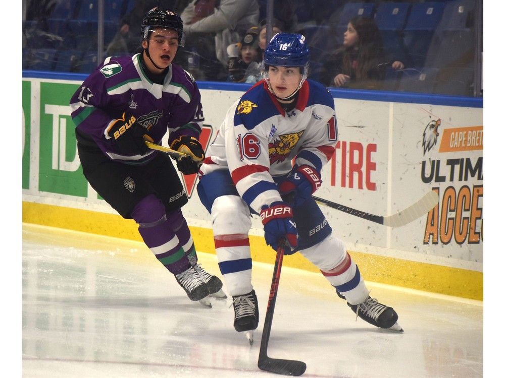 Second period costs Cape Breton Eagles in loss to Moncton Wildcats ...